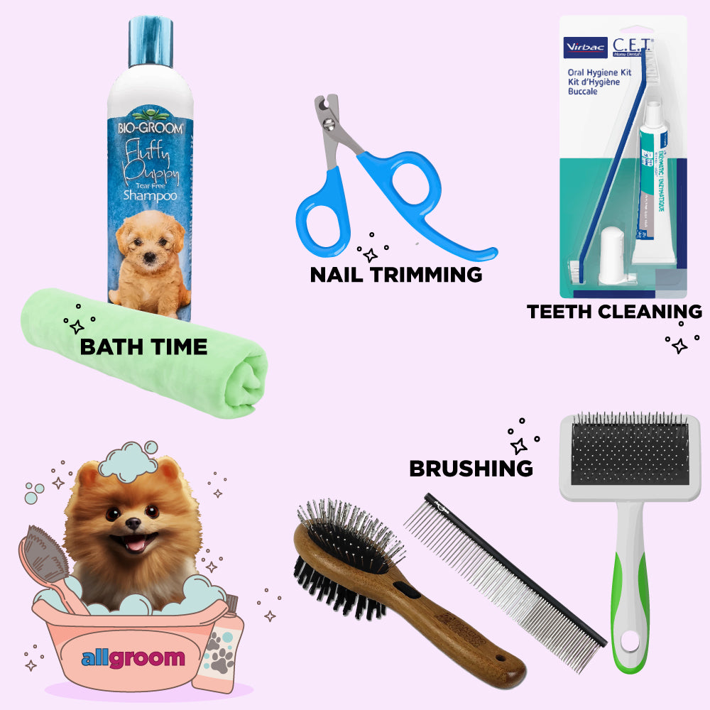 Puppy Kit – AllGroom