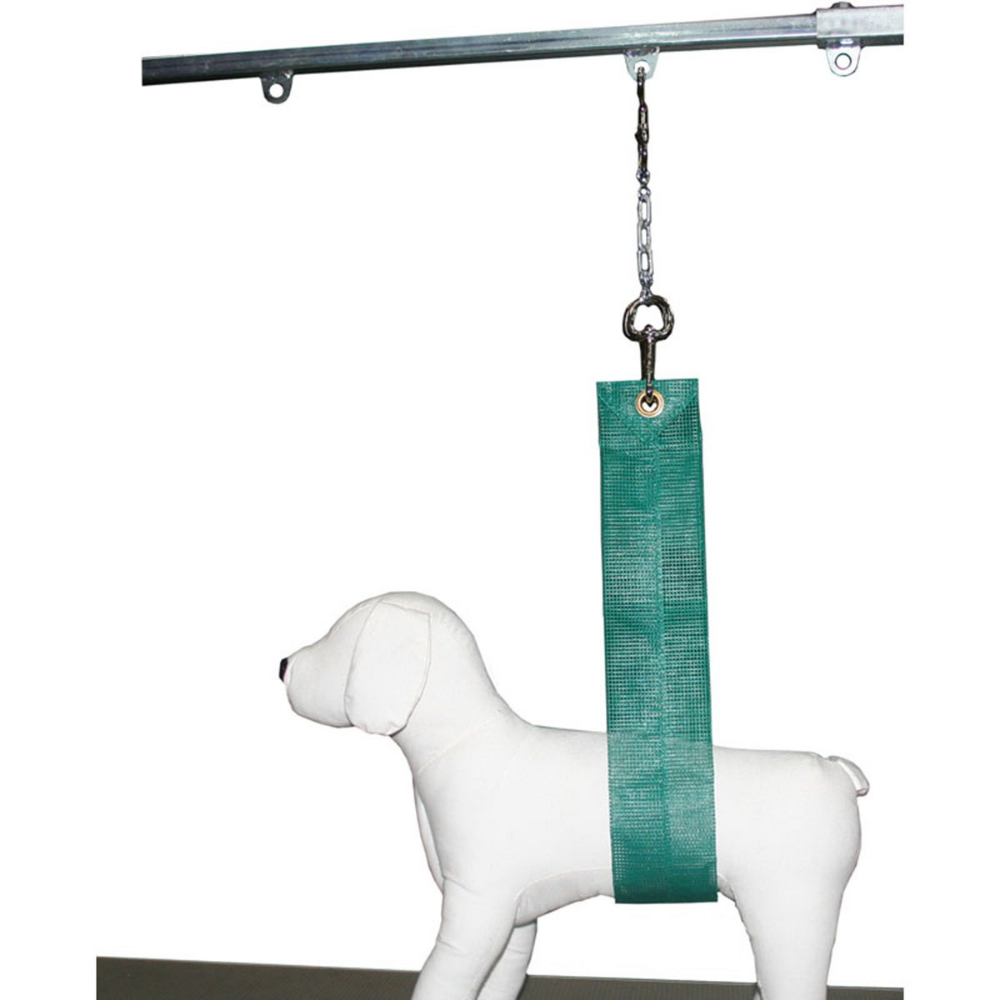 Groom Professional Heavy Duty Body Sling - Large – AllGroom